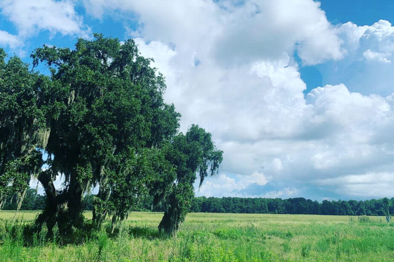 Henry Farm - Open Land Trust
