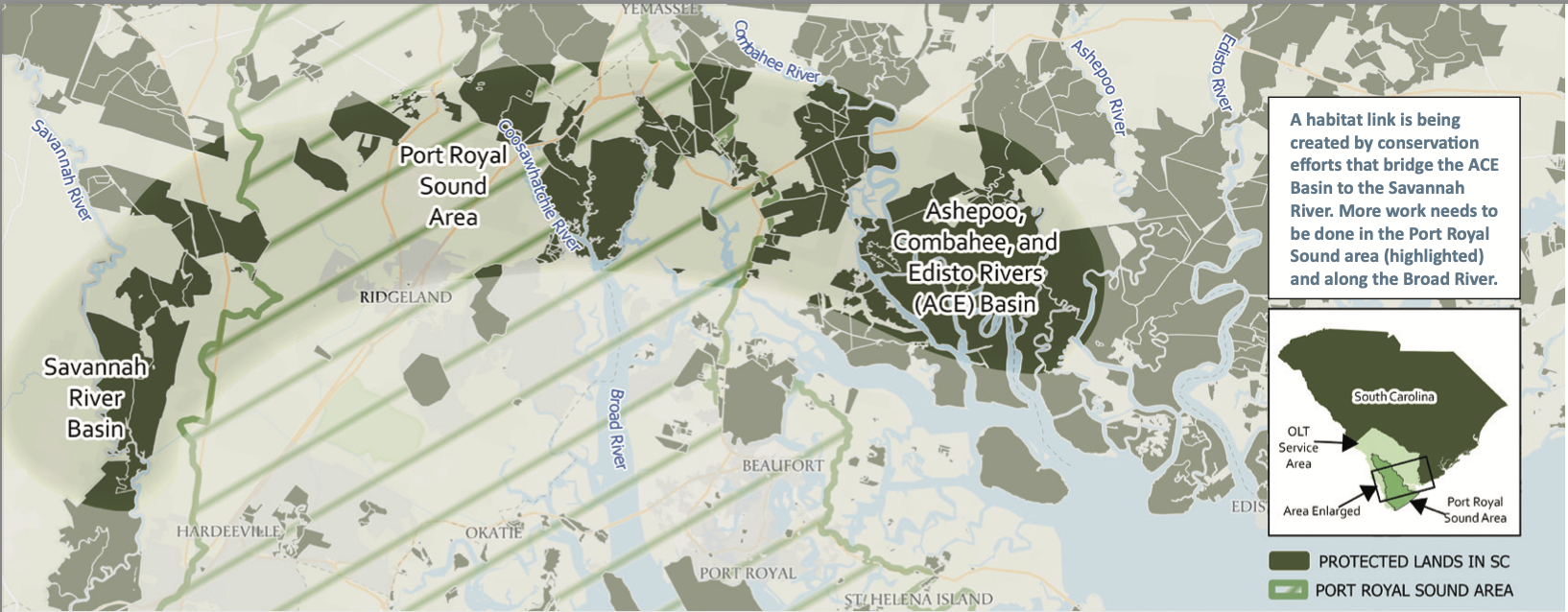 Connecting the ACE Basin to the Savannah River through the heart of the ...
